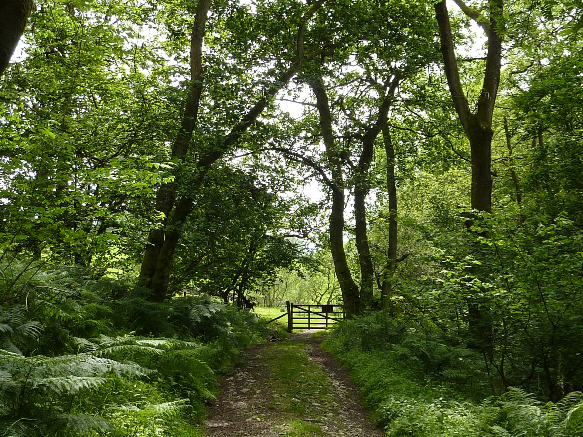 Great outdoors | Bronte School House