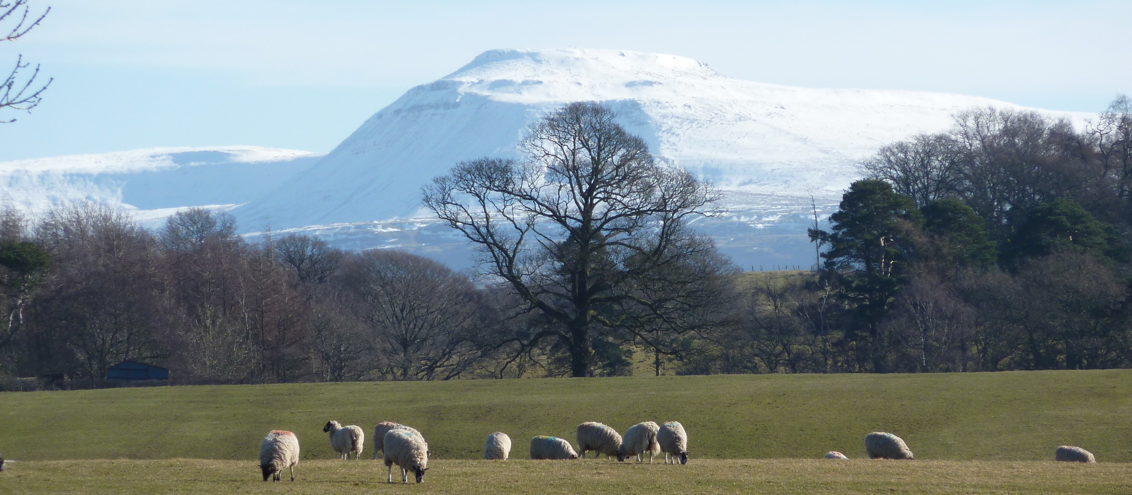 Bronte sisters and the Bronte School House