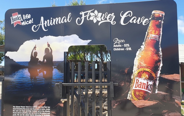 Sight Seeing - Ajoupa Villa # 13