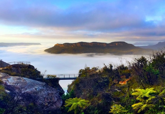 The Grand Cliff Top Walk, Blue Mountains - Careel Cottages