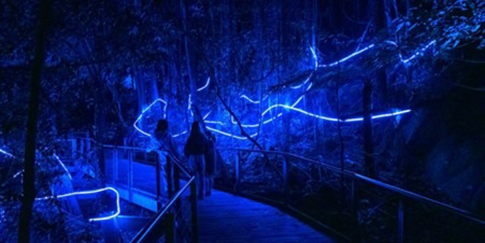 Nocturnal at Scenic World - Careel Cottages