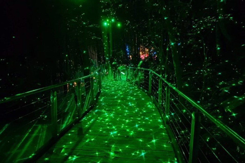 Nocturnal at Scenic World - Careel Cottages