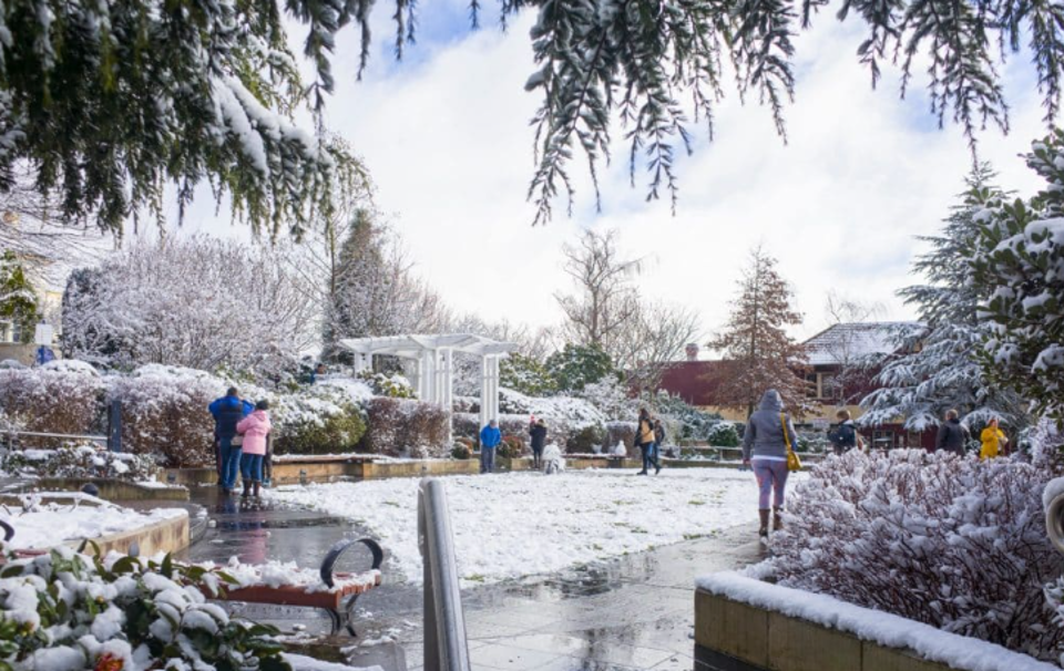 Yulefest or Christmas in July in the Blue Mountains - Careel Cottages