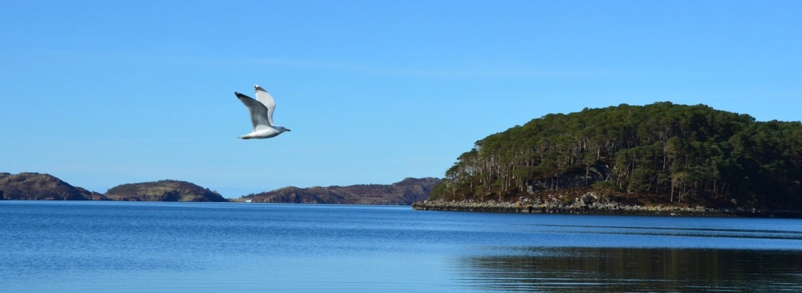 Things to do - Shieldaig