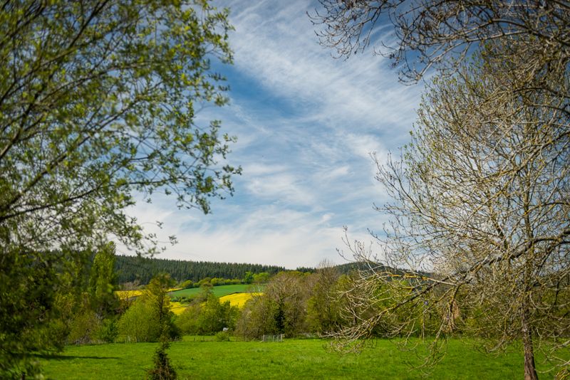 Details - Ash Lodge Shropshire